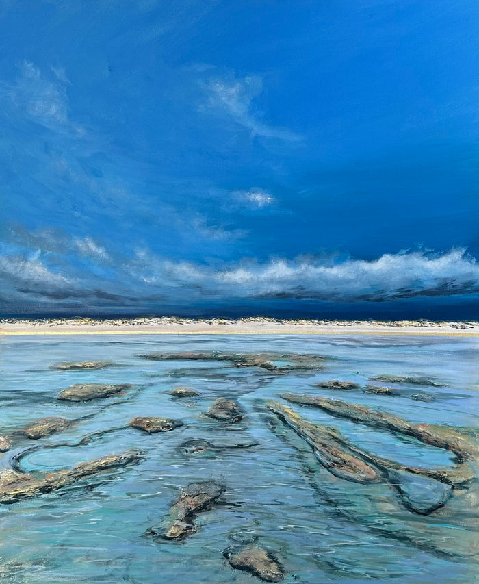 Ann Steer - original ocean art, beach paintings and seascapes